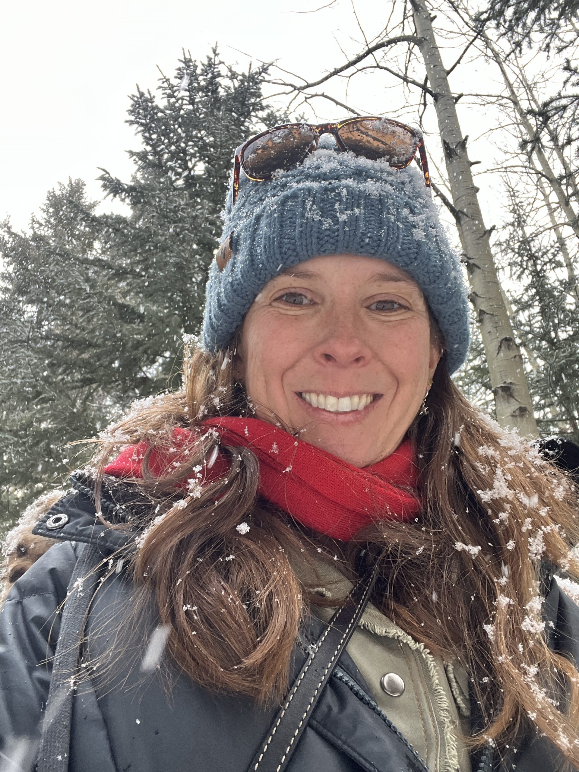 Team Leader - KW Top of the Rockies - KW Top of the Rockies